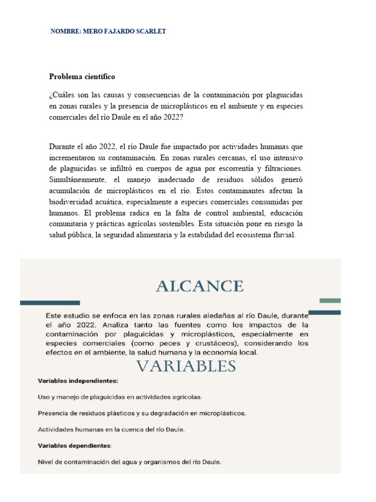 Mero Fajardo - Metodología | PDF