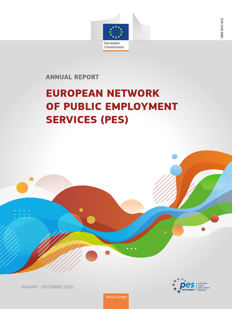 PES Network Annual Report 2020 | PDF | European Union | Labour Economics