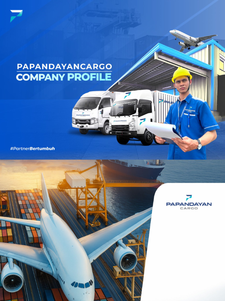 PNP - Profile 2025-1 | PDF