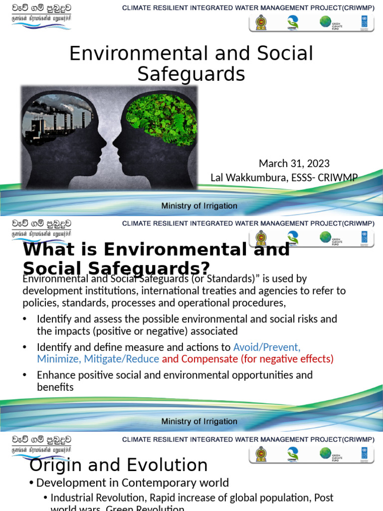 Understanding Environmental Safeguards | PDF | Sustainability | Policy