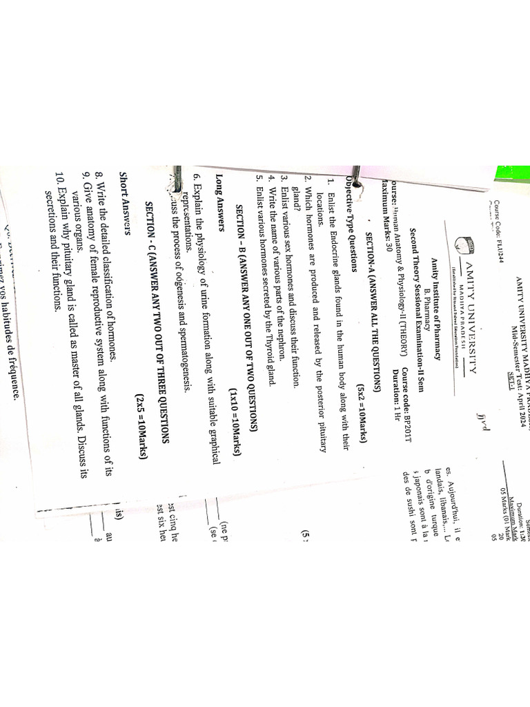 2024 Pyq | PDF