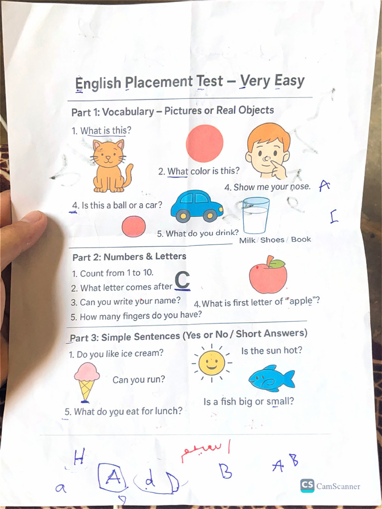 English Placement Test - Very Easy | PDF