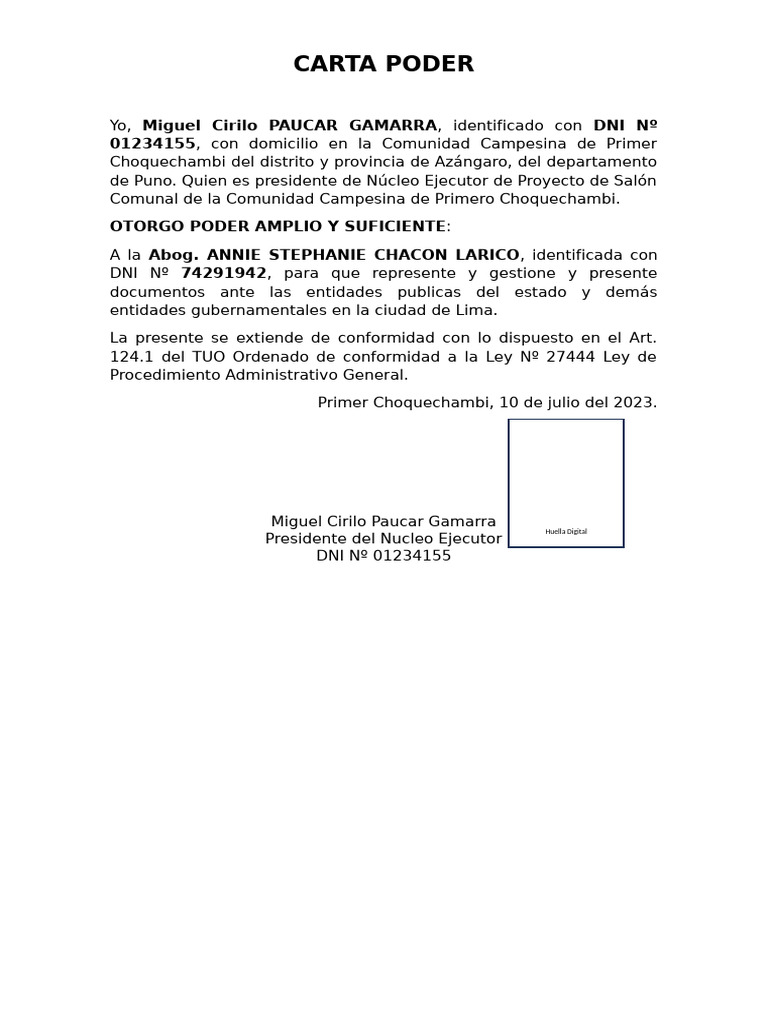 Carta Poder para Representación Legal | PDF