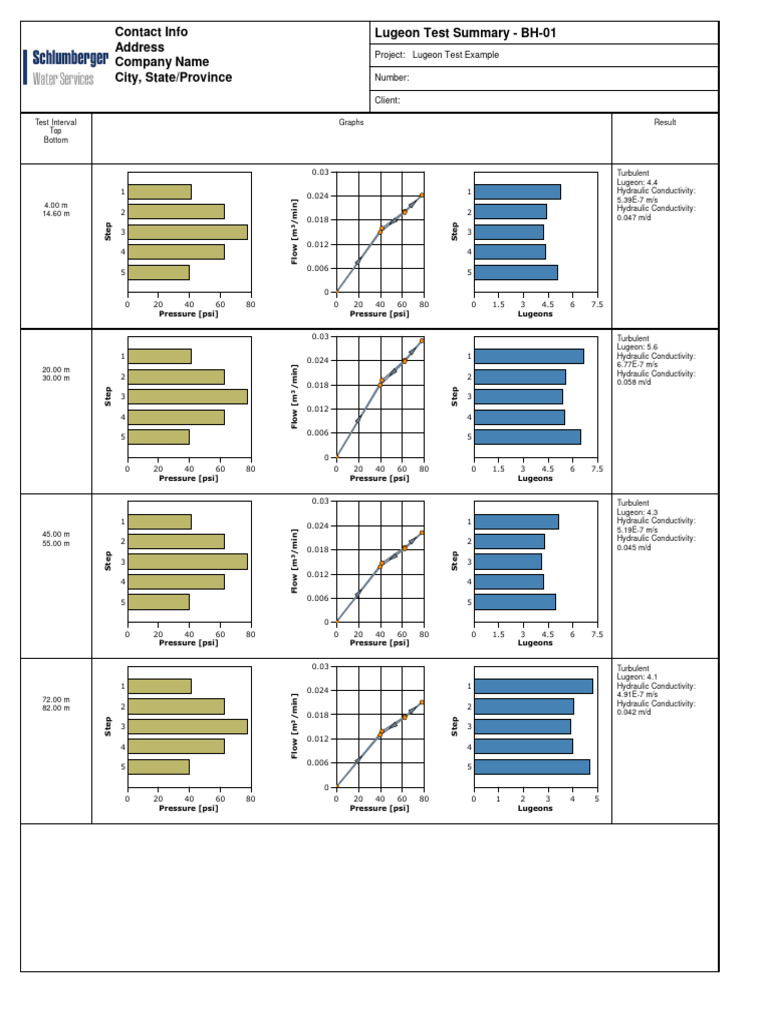 Sample Report LugeonTests | PDF | Pressure | Hydrology