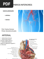 11 - Região Poplítea | PDF | Joelho | Anatomia humana