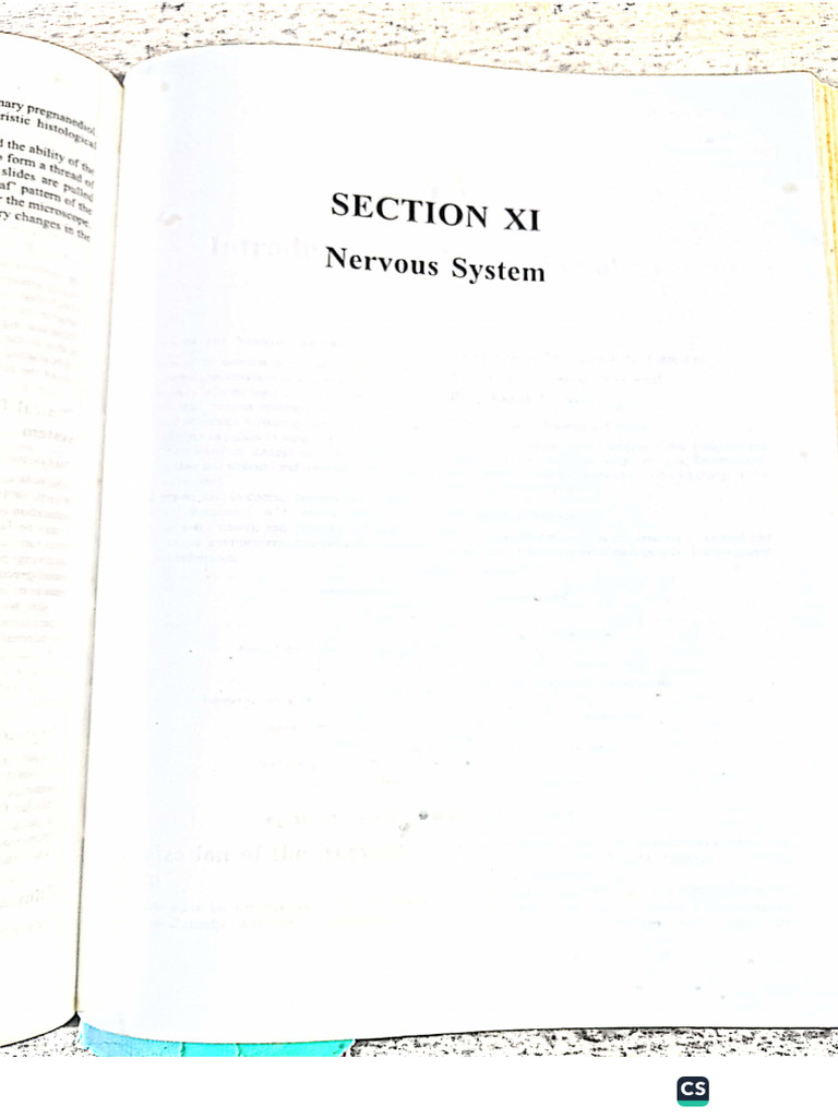 Ezeilo Physiology Overview PDF | PDF