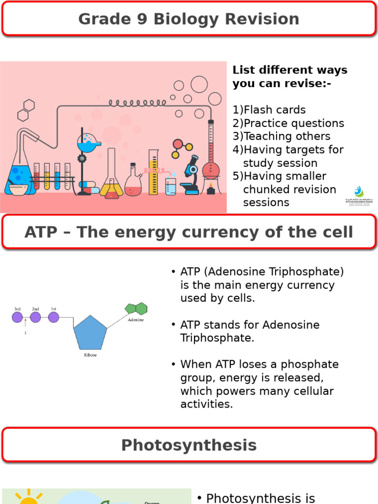 Grade 9 Biology 3.1 Revision | PDF