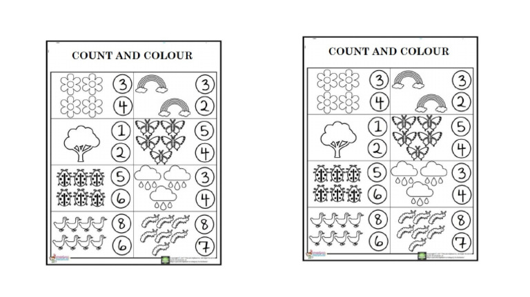 Count and Colour (1st Grade) | PDF