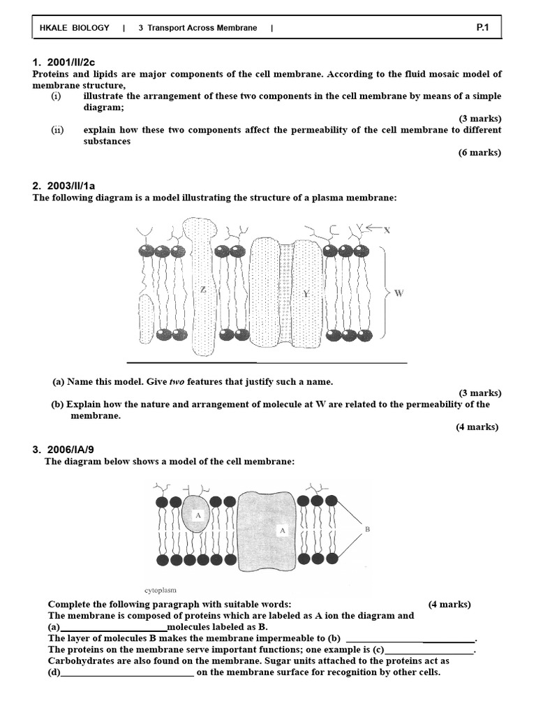 Chapter3 Transport Across Membrane | PDF | Cell Membrane | Biology
