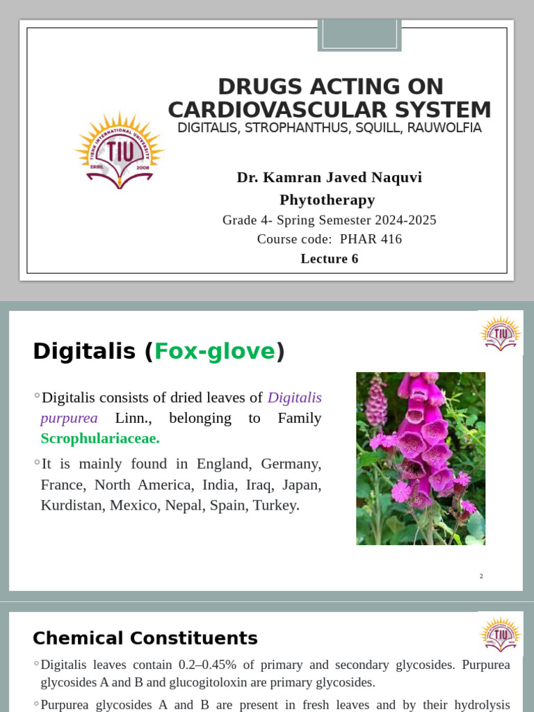 Drugs Acting On Cardiovascular System CVS 2 | PDF | Heart | Cardiology