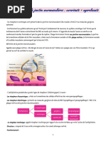 Les Curares | PDF | Acétylcholine | Synapse