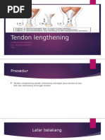 EHL Tendon Repair Rehab Protocol | PDF