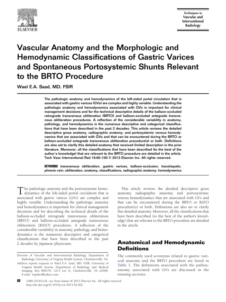 食道胃底静脉解剖 | PDF | Vein | Stomach