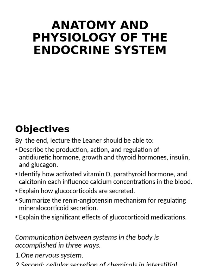 Anatomy and Physiology of The Endocrine System - . .2A 0P | PDF | Adrenal Gland | Insulin