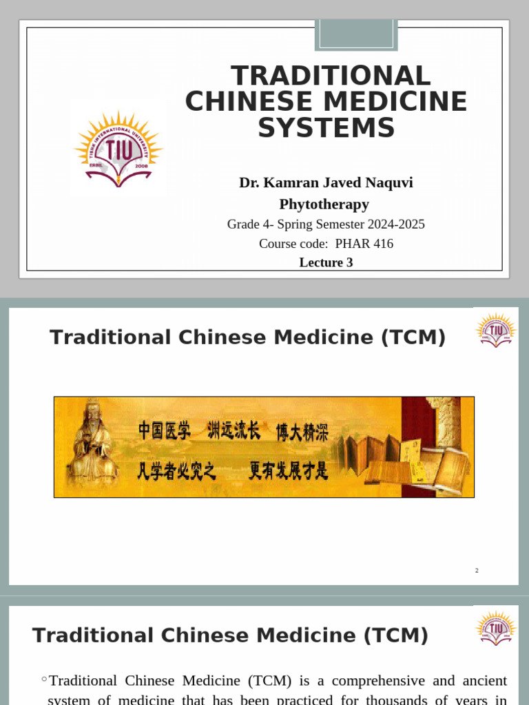 Traditinal Medicines Systems | PDF | Yin And Yang | Traditional Chinese ...