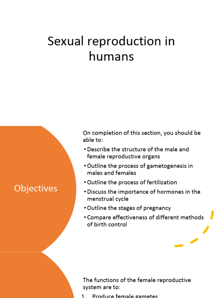 Sexual Reproduction in Humans | PDF | Fertilisation | Vagina