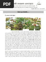 Sinhala Pirith Potha PDF | PDF | Indian Philosophy | Indian Religions