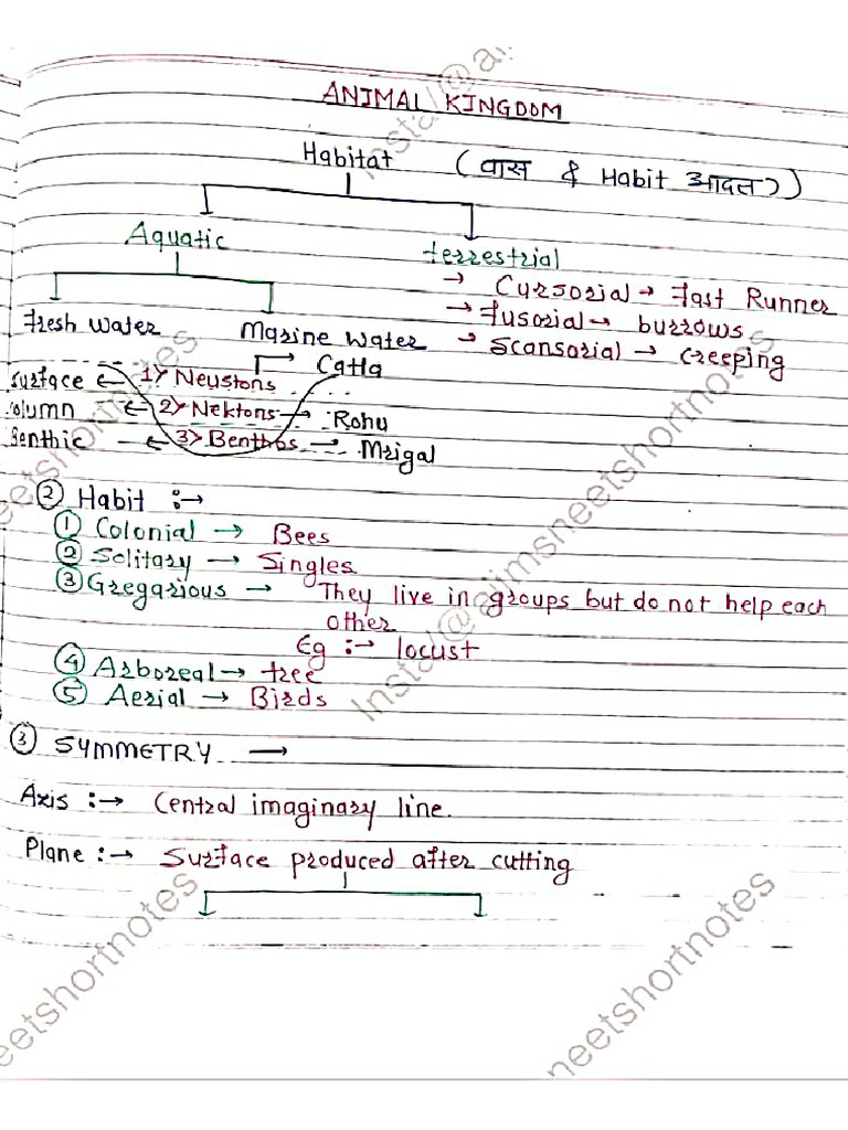 Animal Kingdom h7 | PDF