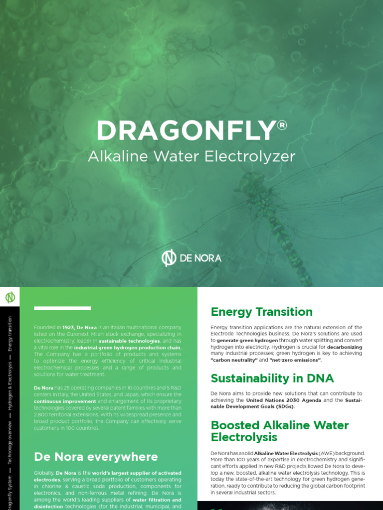 De Nora - Dragonfly System 240201 - Compressed | PDF | Electrochemistry | Physical Sciences