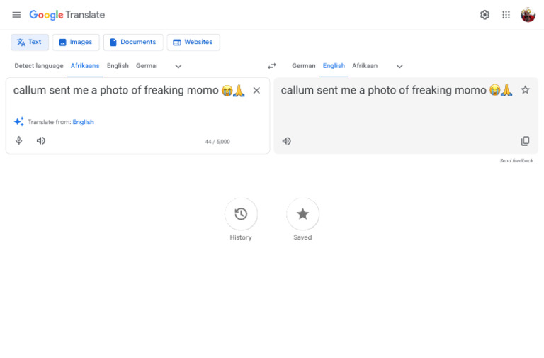 Google Translate | PDF