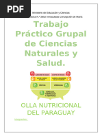Olla Familiar Guatemalteca | PDF | Alimentos | Dieta