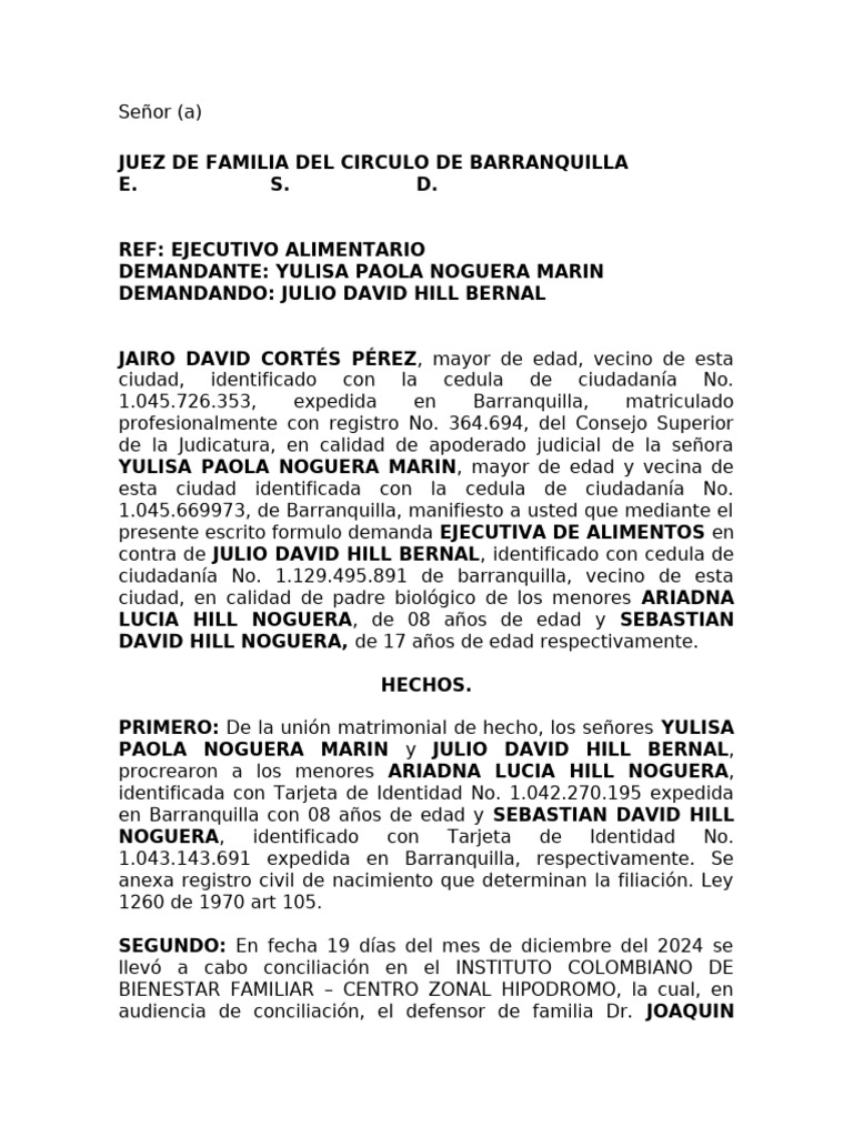 Demanda Ejecutiva Yulisa Noguera Marin | PDF | Justicia | Crimen y violencia