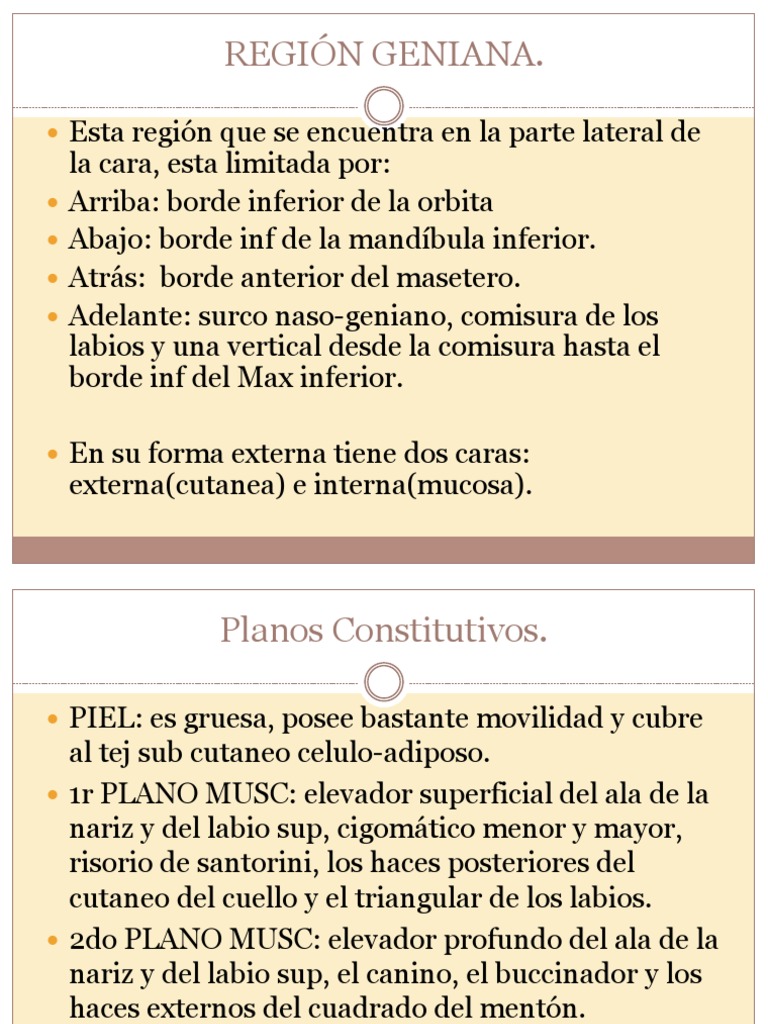 Anatomía de la Región Geniana | PDF | Viajes y turismo | Ciencia y ...