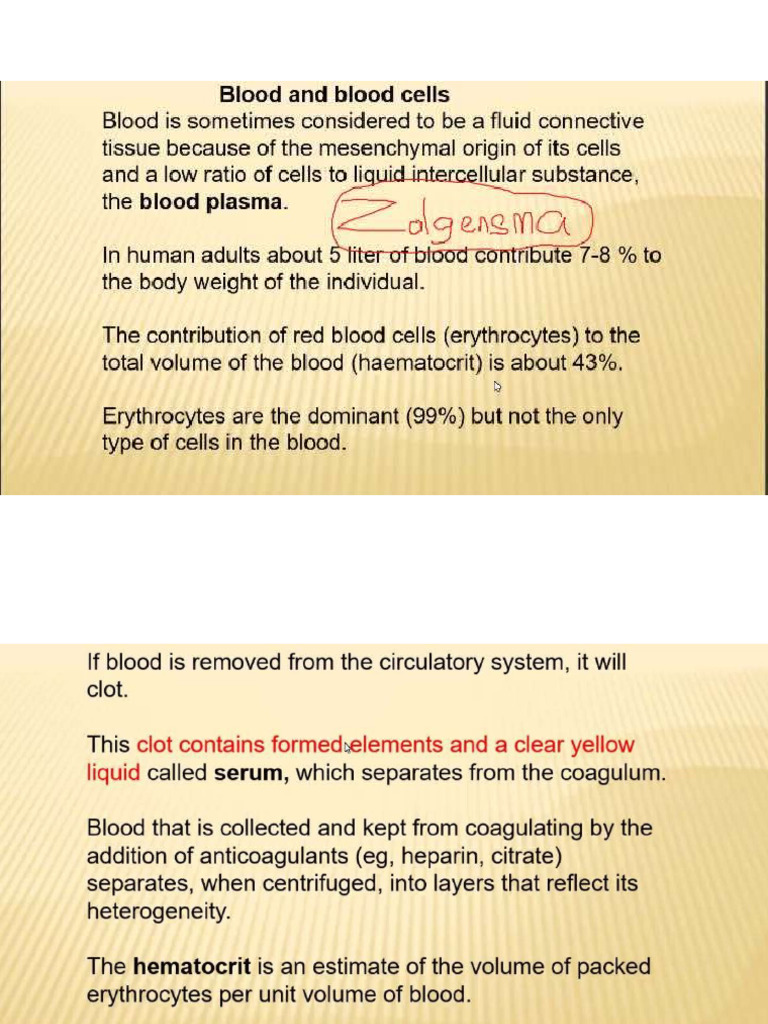 Blood Blood Cells | PDF