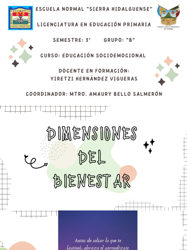 Dimensiones Del Bienestar Diapositivas | PDF | Bienestar | Las emociones