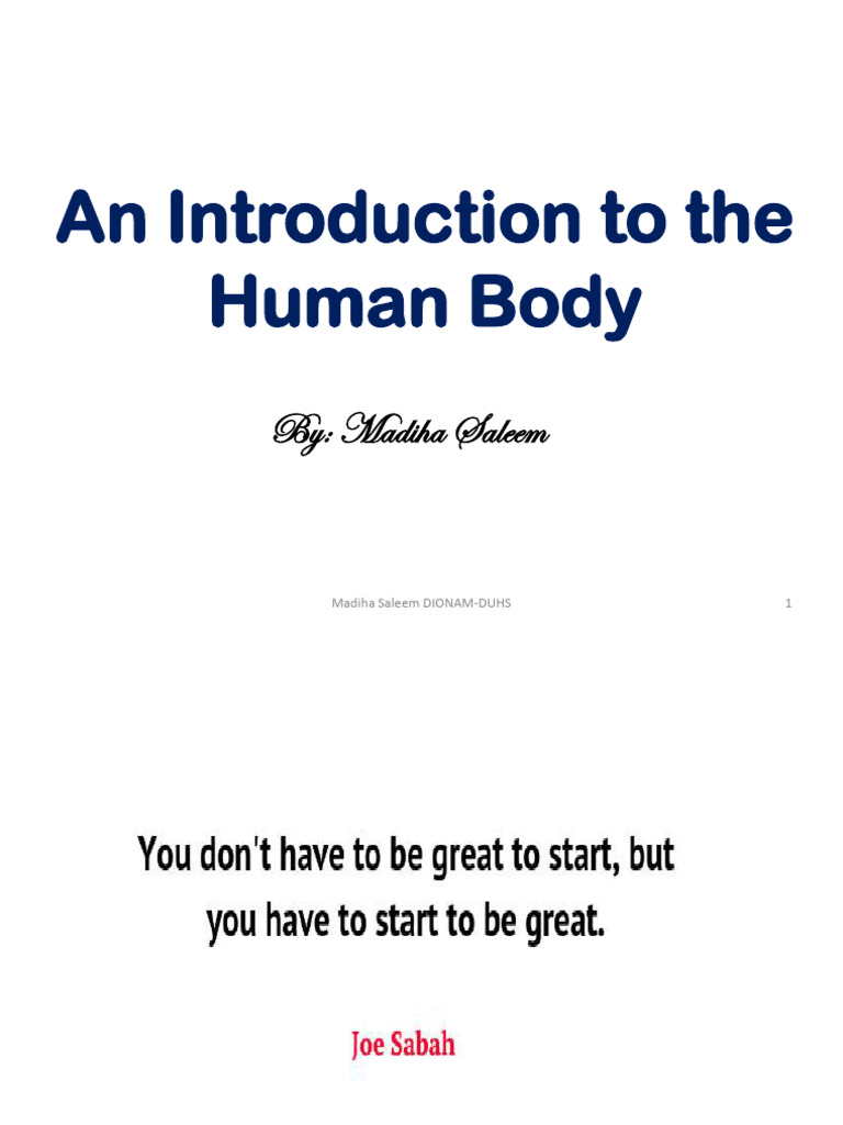 An Introduction To The Human Body | PDF | Abdomen | Anatomical Terms Of ...