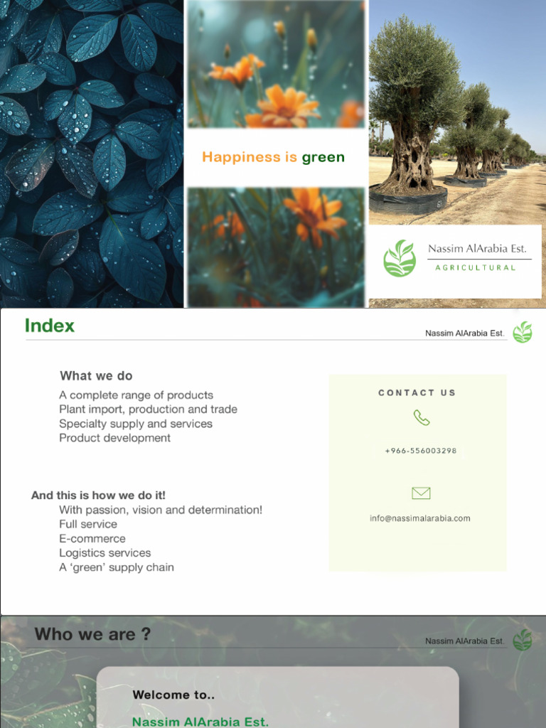 Nasim AL Arabia | PDF | Mashriq | Arab League