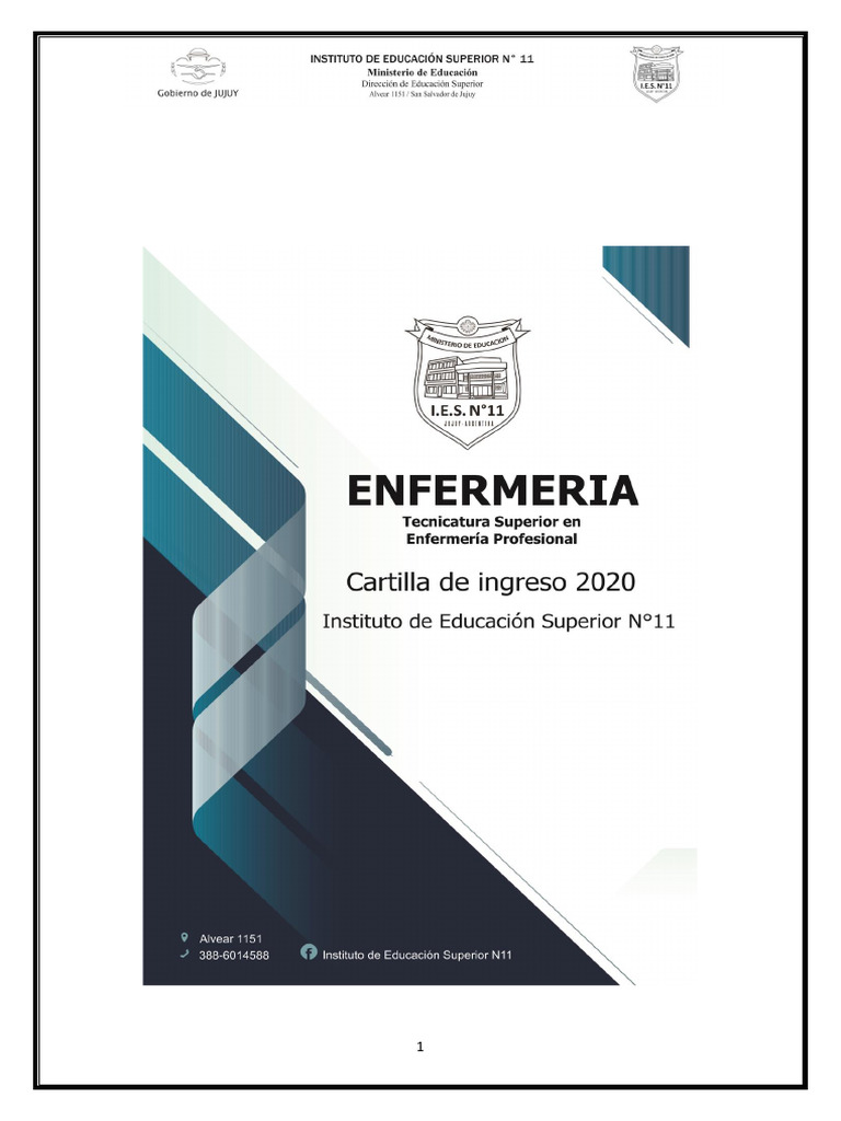 Cartilla de Ingreso Enfermeria 2020 - Final | PDF | Enfermería | Teoría