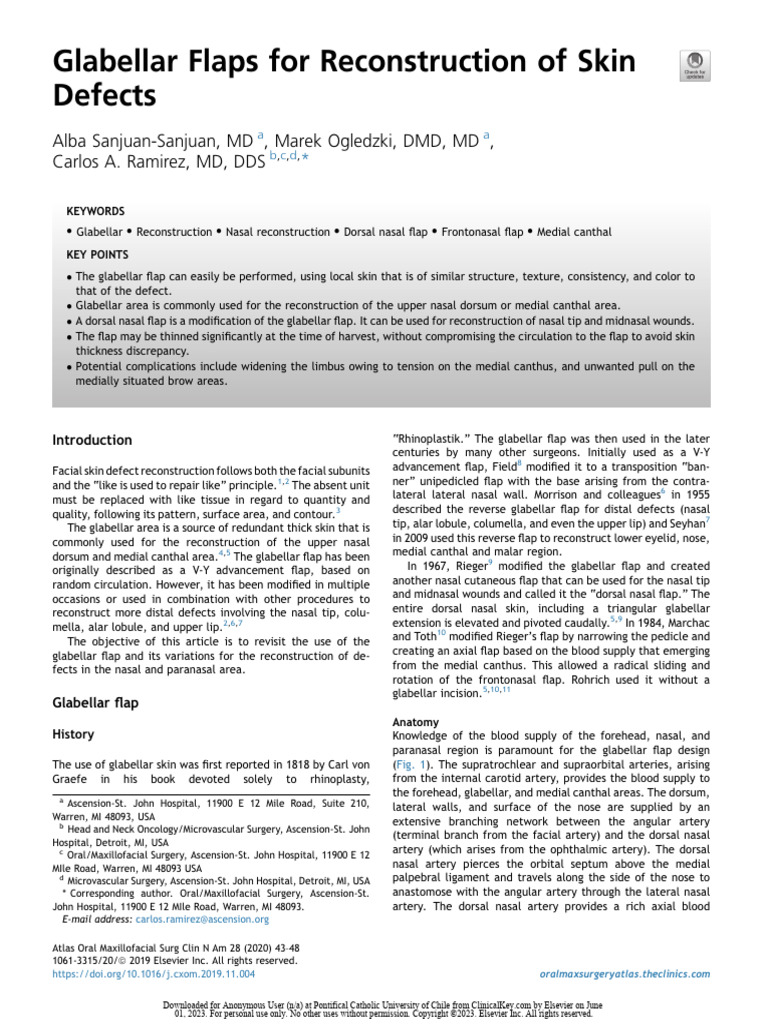 Glabellar Flaps For Reconstruction of Skin Defects | PDF | Human Nose ...
