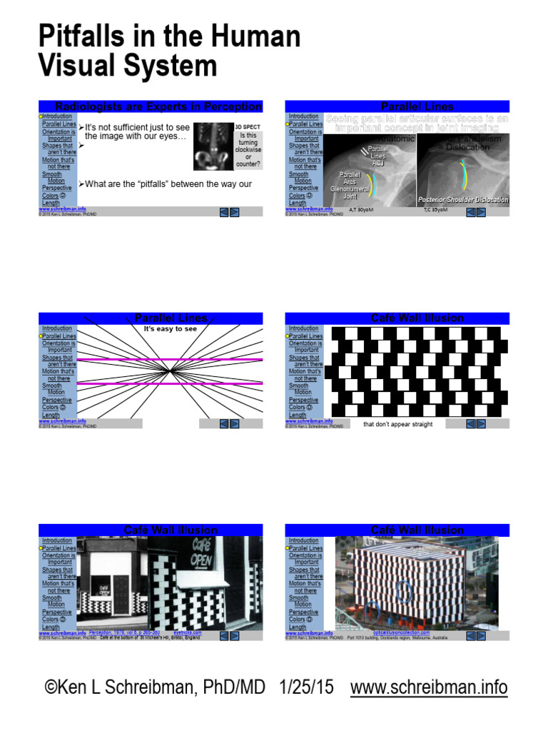 Schreibman PHVS Handout | PDF | Visual System | Color