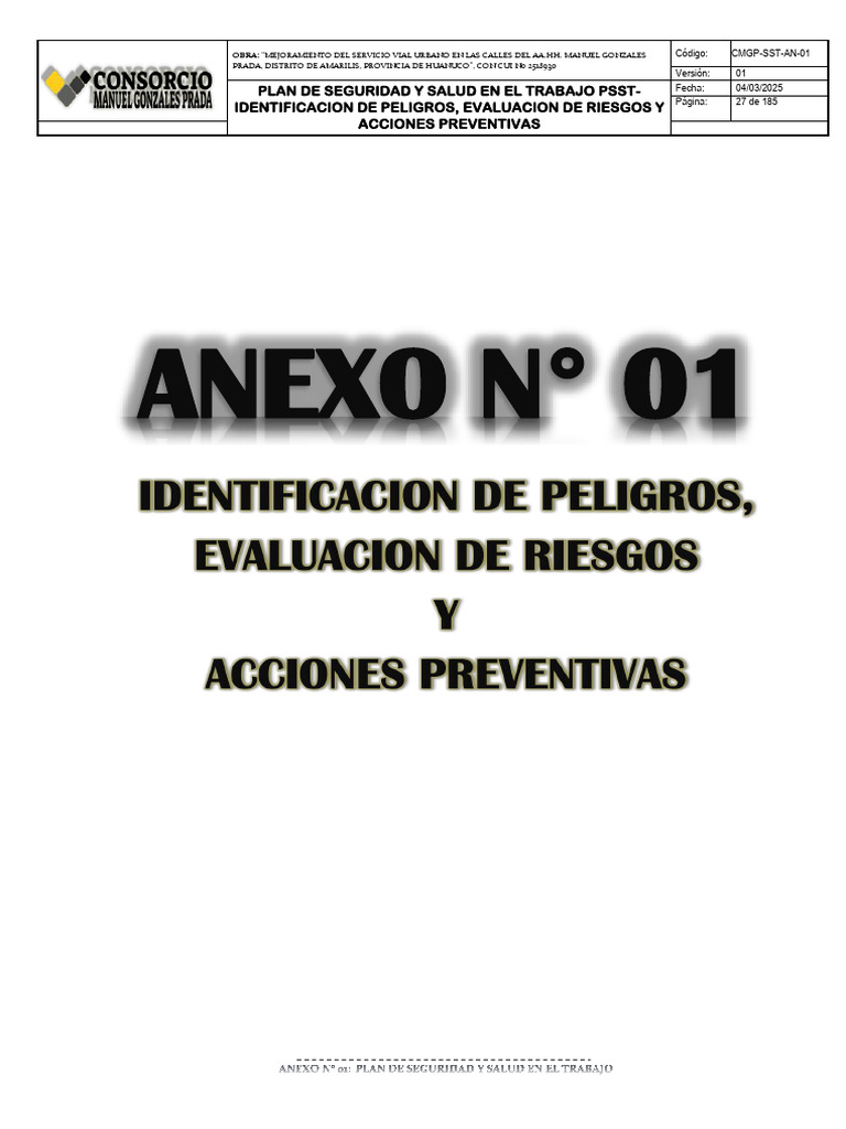 1. ANEXO N°01 DEL PSST | PDF | Riesgo | Seguridad y salud ocupacional