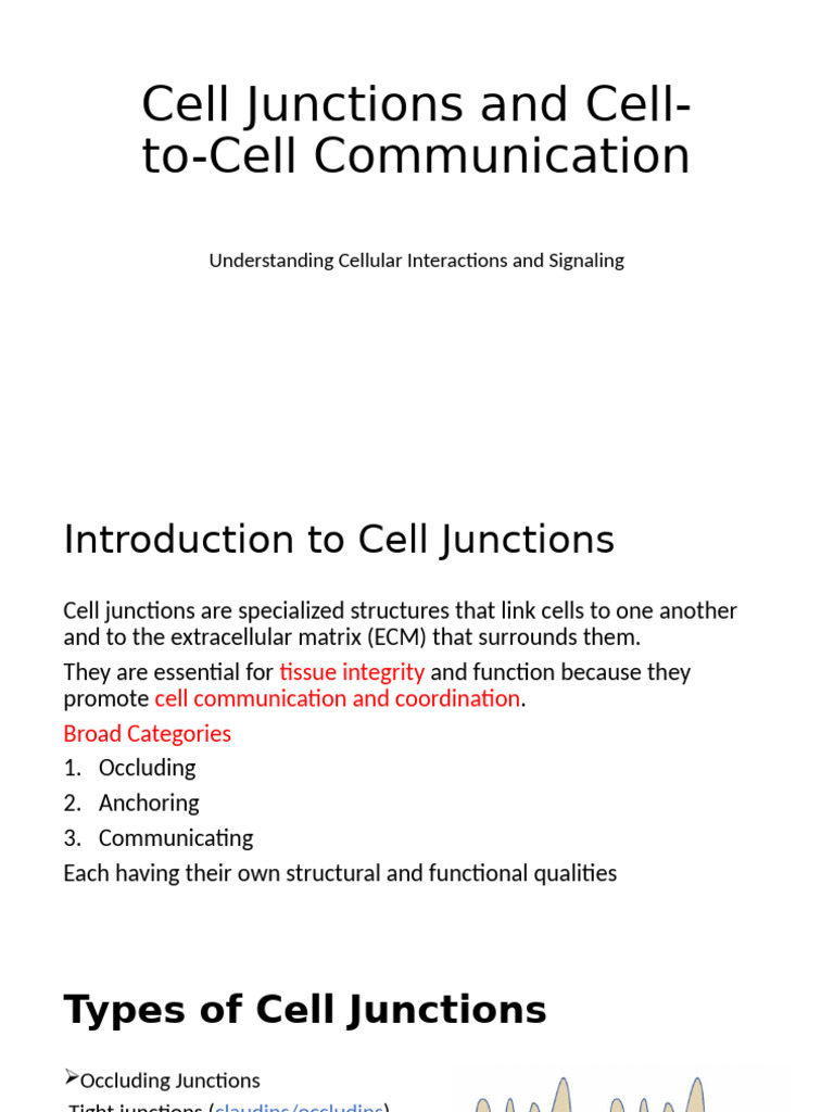 Cell Junctions and Communication Explained | PDF | Cell Signaling ...