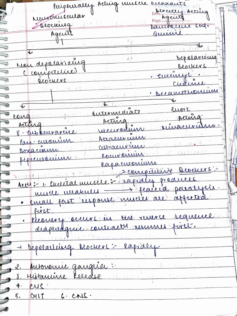 Skelatal Muscle | PDF