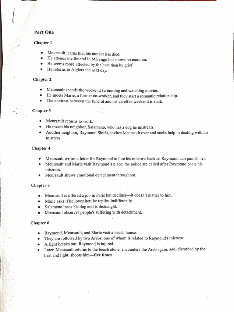 The Stranger Outsider | PDF