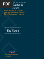 The Radiology Assistant - Lung Segments and Bronchi | PDF | Lung ...