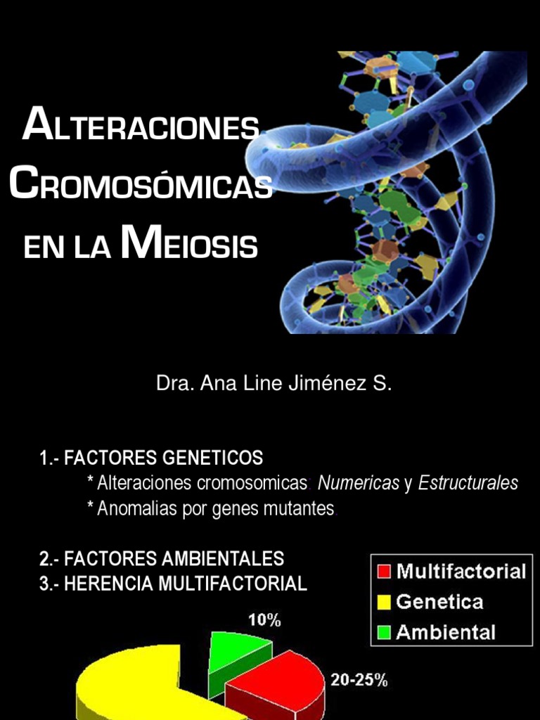ALTERACIONES_CROMOSOMICAS | Cromosoma | Mutación