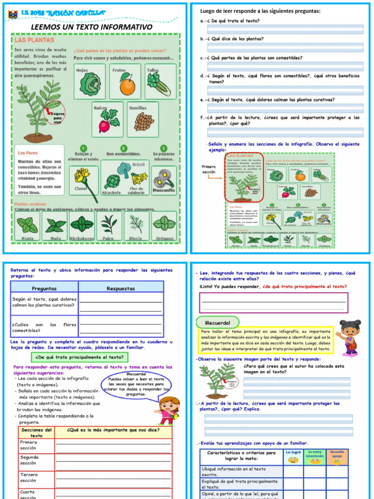 Ficha Infografía Sobre Las Plantas | PDF