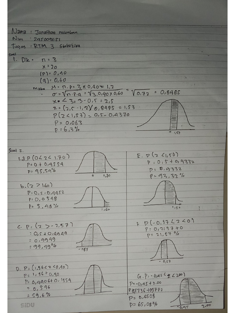 RTM 3 Statistika Jonathan | PDF