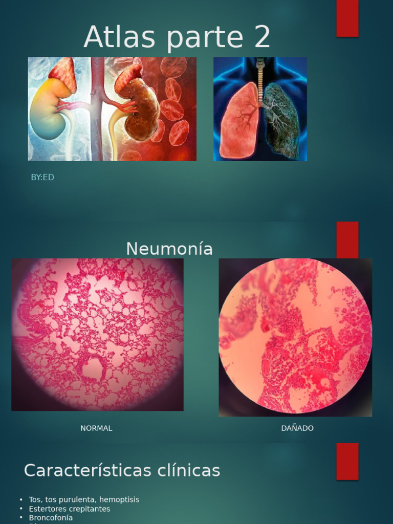 Atlas Pato 2 Primera Parte | PDF