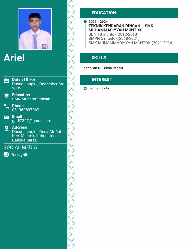 CV Ariel | PDF