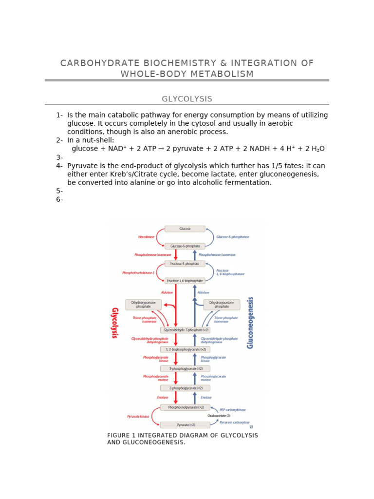 Carbohydrate Biochemistry | PDF