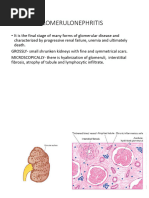 Nephrology Mnemonics Guide | PDF | Kidney Disease | Kidney