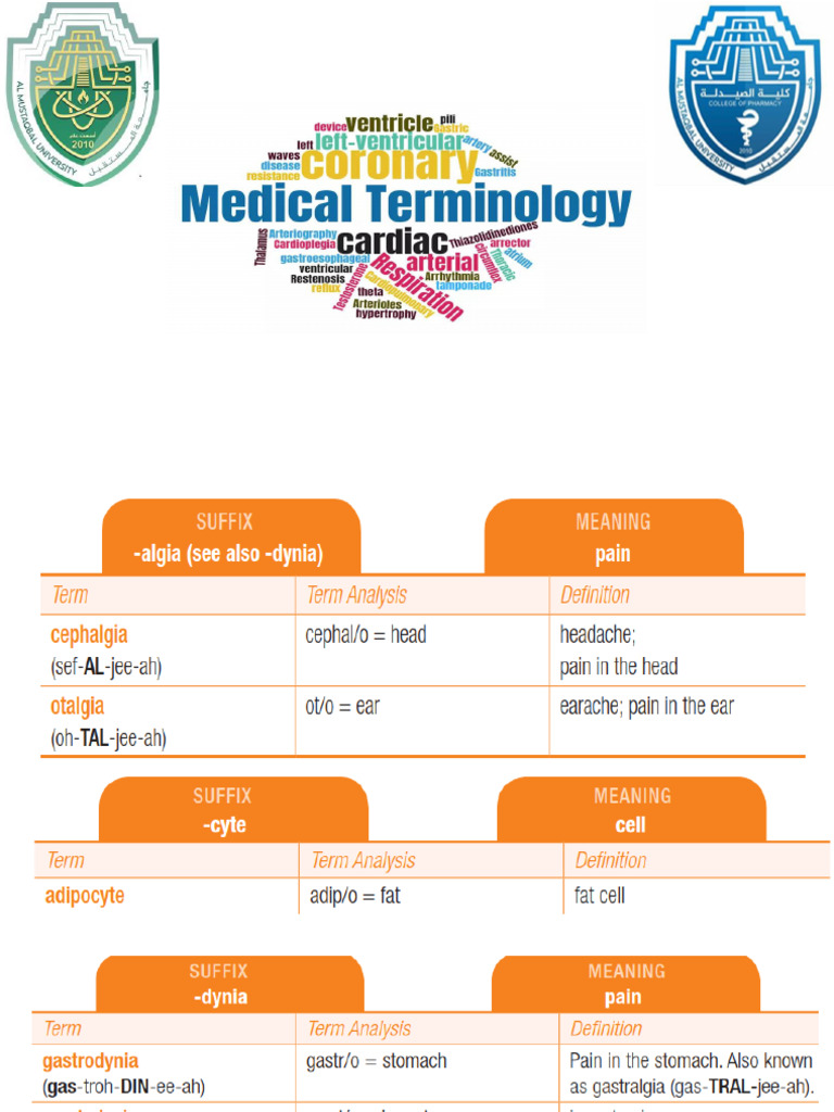 Digestive System Medical Terminology | PDF | Gastrointestinal Tract ...