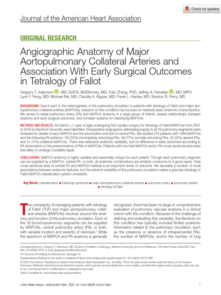 Angiographic Anatomy of Major Aortopulmonary Collateral Arteries and ...