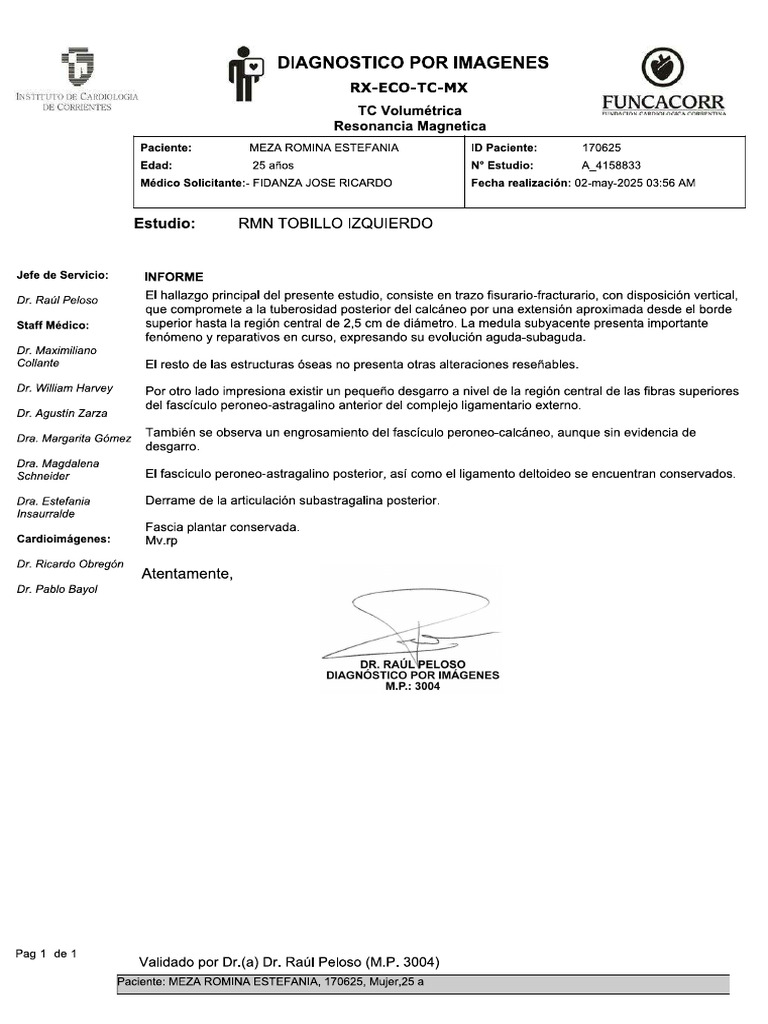 Meza Romina Estefania 02 05 25 | PDF