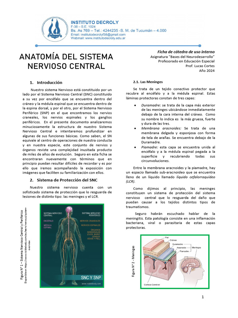 Anatomía y Fisiología Del SNC | PDF | Fluido cerebroespinal | Cerebro